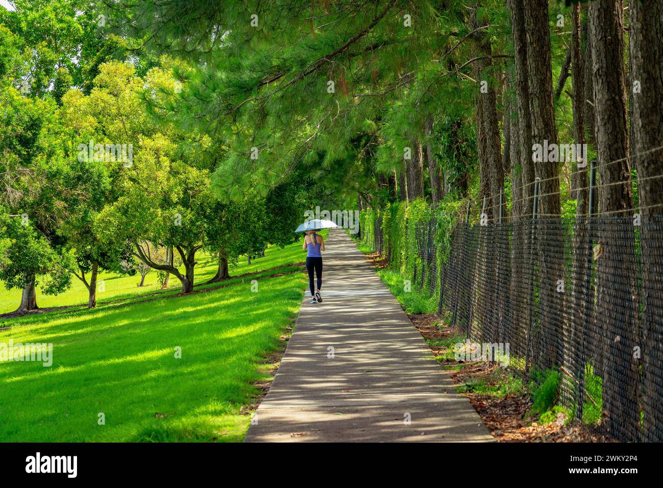 Gold coast botanic gardens hi-res stock photography and images - Alamy