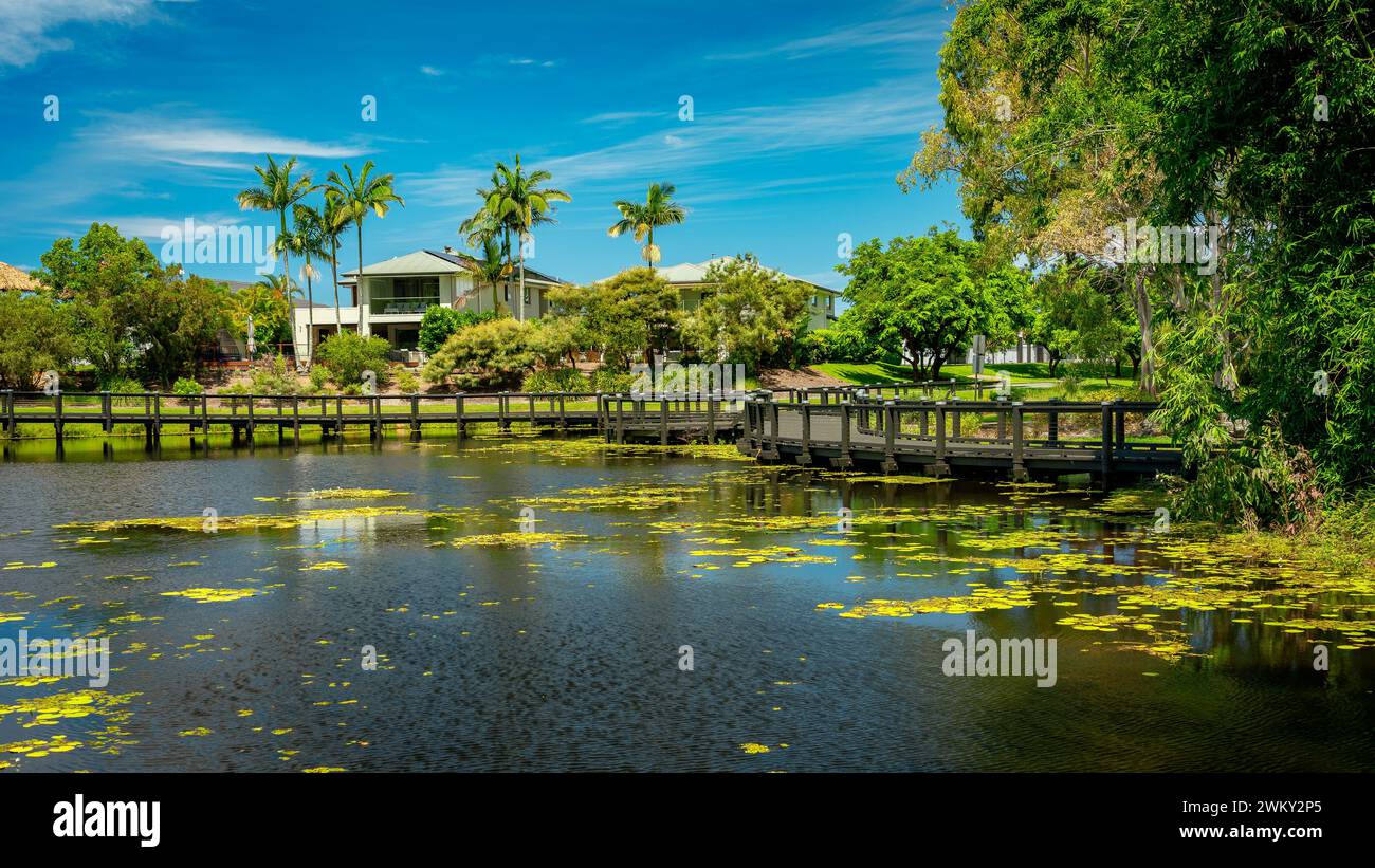 Gold Coast Botanical Gardens, Queensland, Australia Stock Photo - Alamy