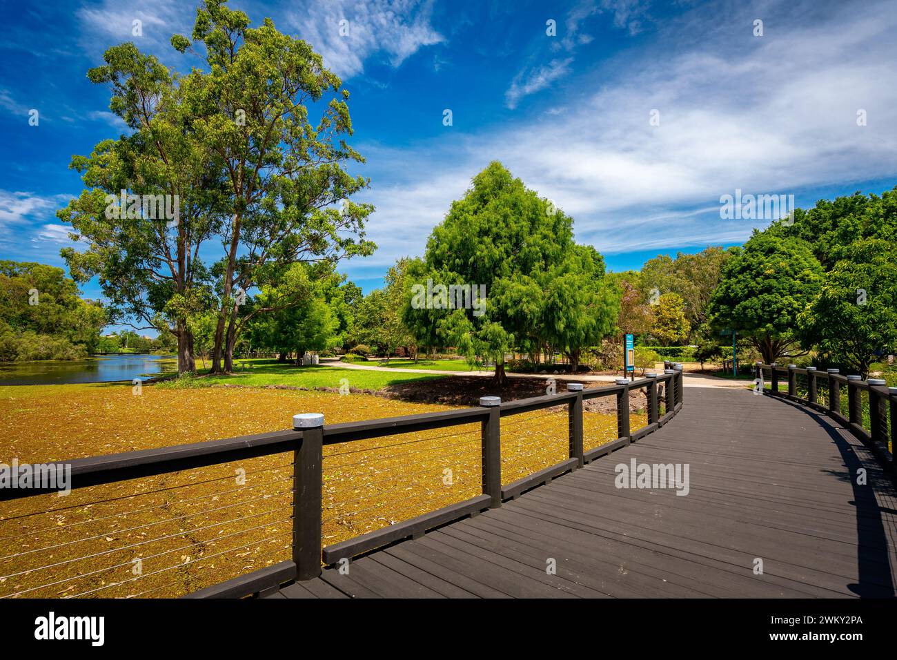 Gold coast botanic gardens hi-res stock photography and images - Alamy