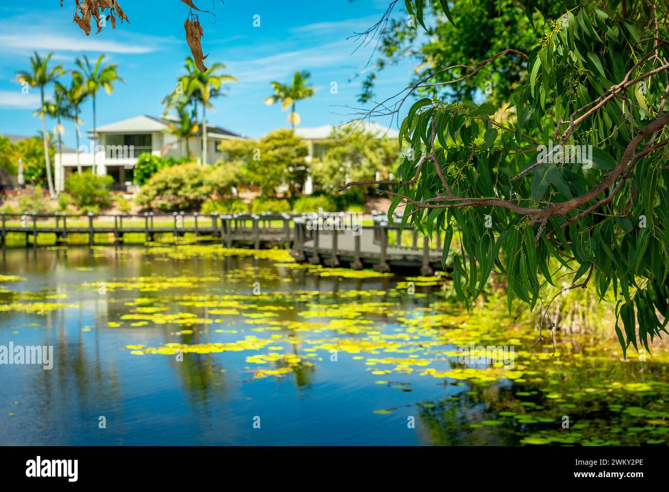 Gold coast botanic gardens hi-res stock photography and images - Alamy