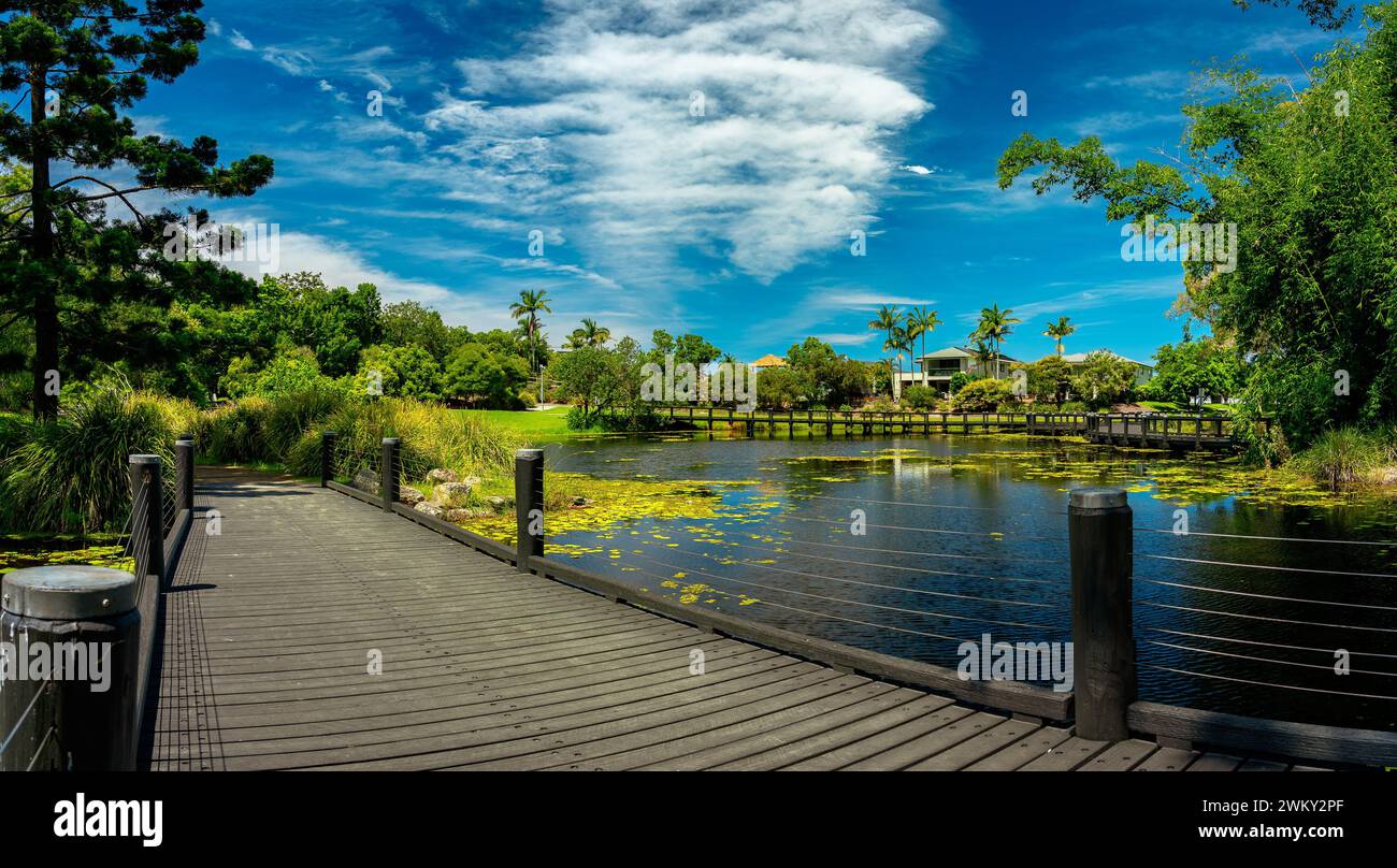 Gold Coast Botanical Gardens, Queensland, Australia Stock Photo - Alamy