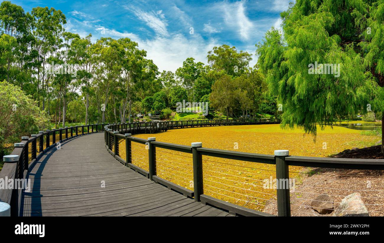 Gold Coast Botanical Gardens, Queensland, Australia Stock Photo - Alamy