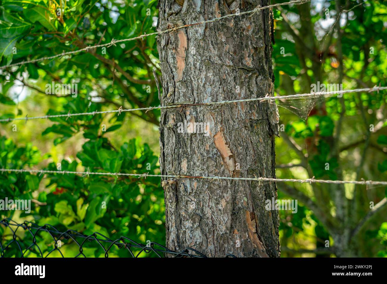 Wire cutting hi-res stock photography and images - Alamy