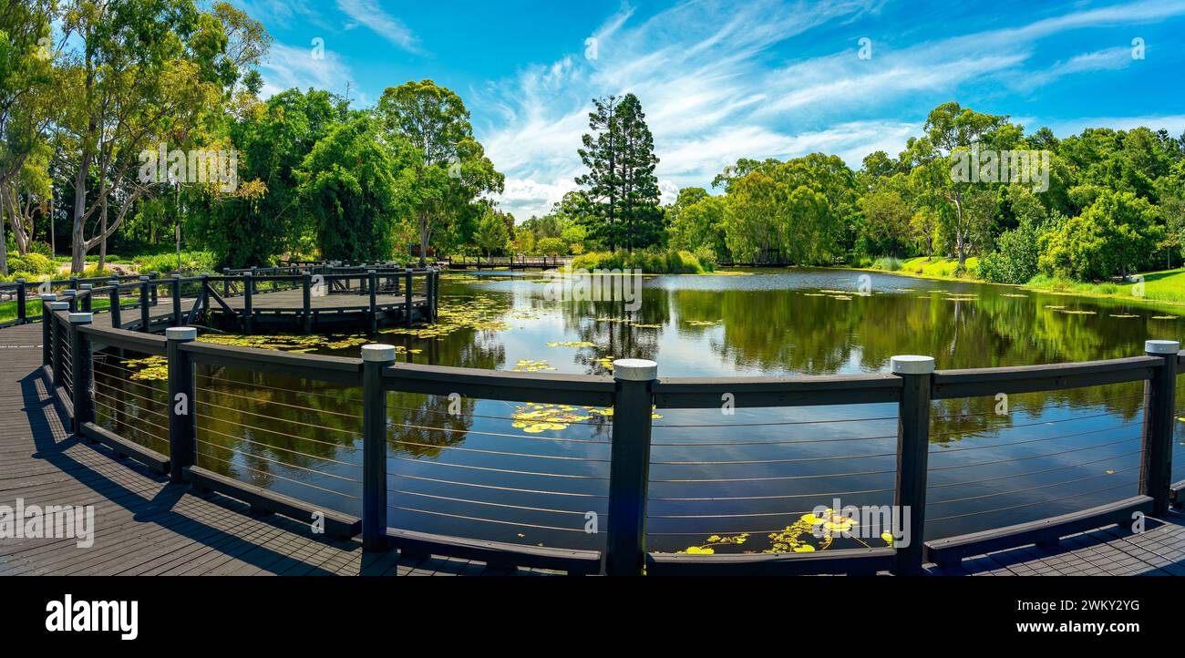 Gold Coast Botanical Gardens, Queensland, Australia Stock Photo - Alamy