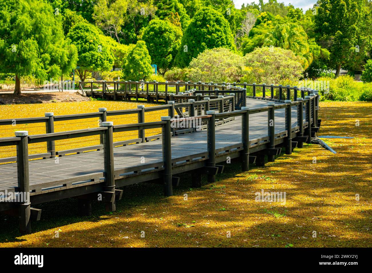 Gold Coast Botanical Gardens, Queensland, Australia Stock Photo - Alamy