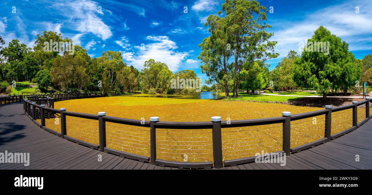 Gold Coast Botanical Gardens, Queensland, Australia Stock Photo - Alamy