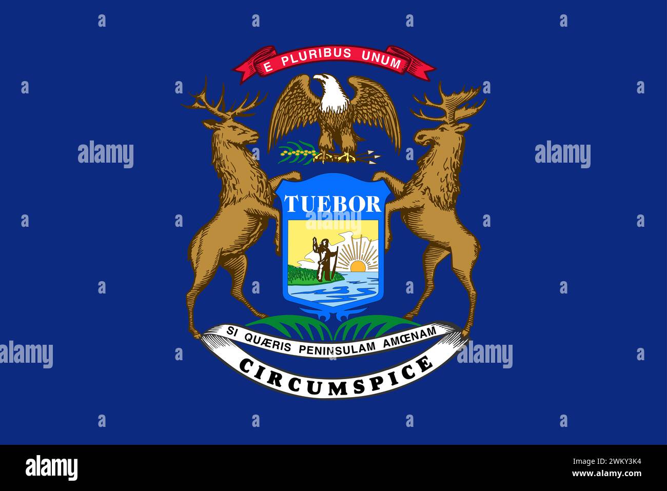 State flag of Michigan Stock Photo - Alamy