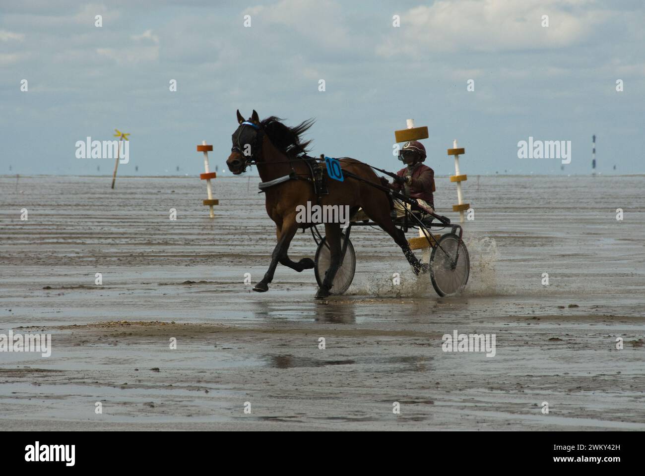 Unique horse mudflat race in Duhnen, Germany, on the North Sea coast ...