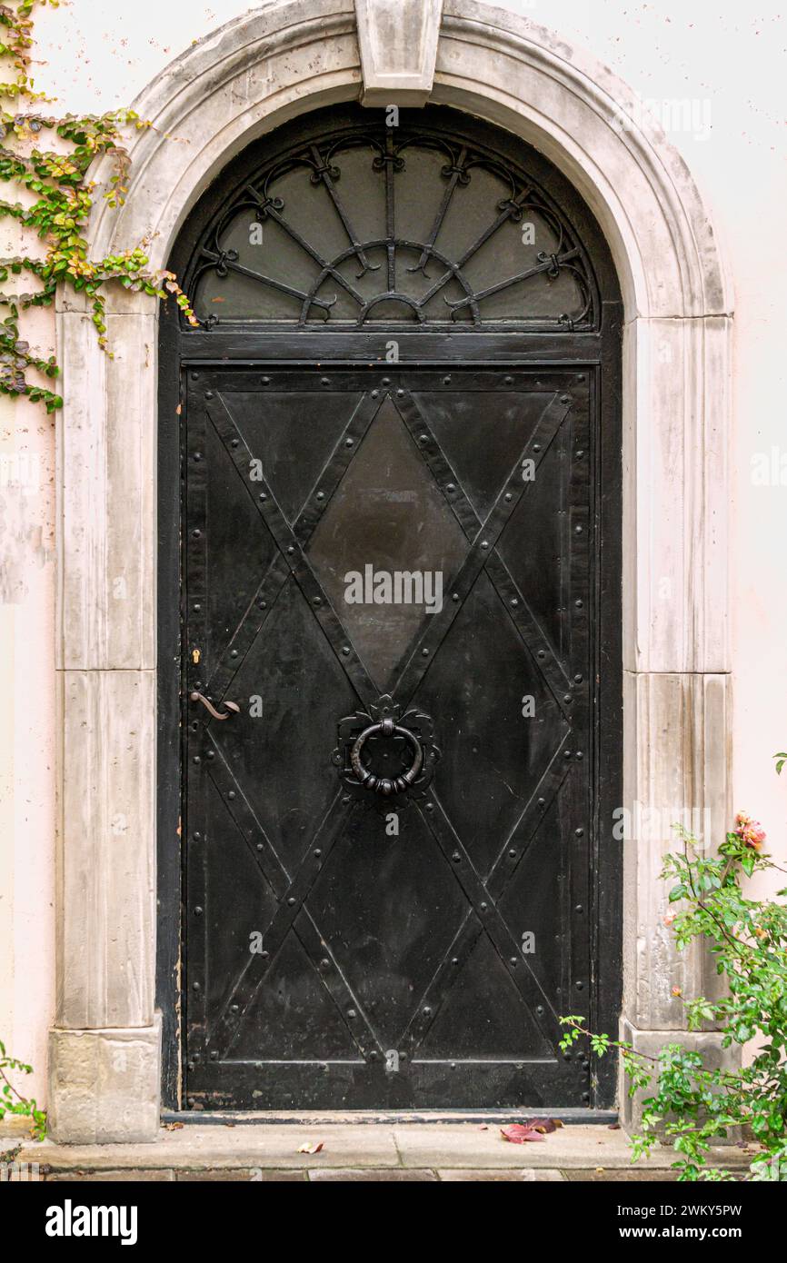 Beautiful antique iron door with ornaments Stock Photo - Alamy