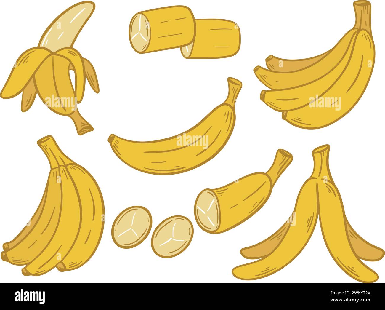 Hand drawn ripe bananas set, vector graphics. Bunch of bananas, single fruit, opened banana, cut ...