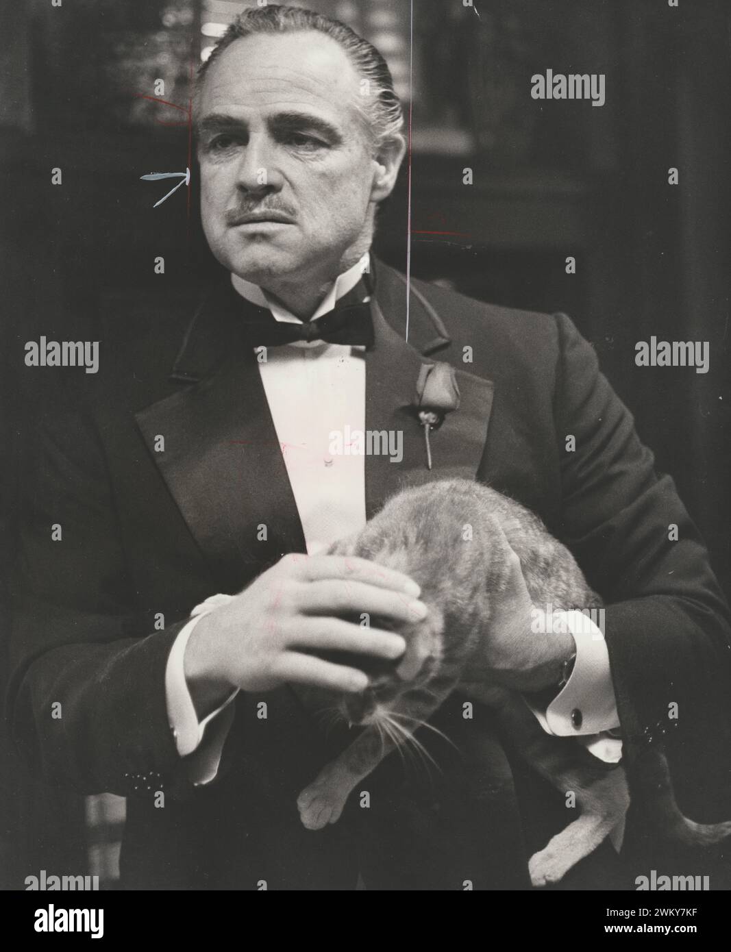 The Godfather (Paramount, 1972). Press Photo. Starring Marlon Brando ...
