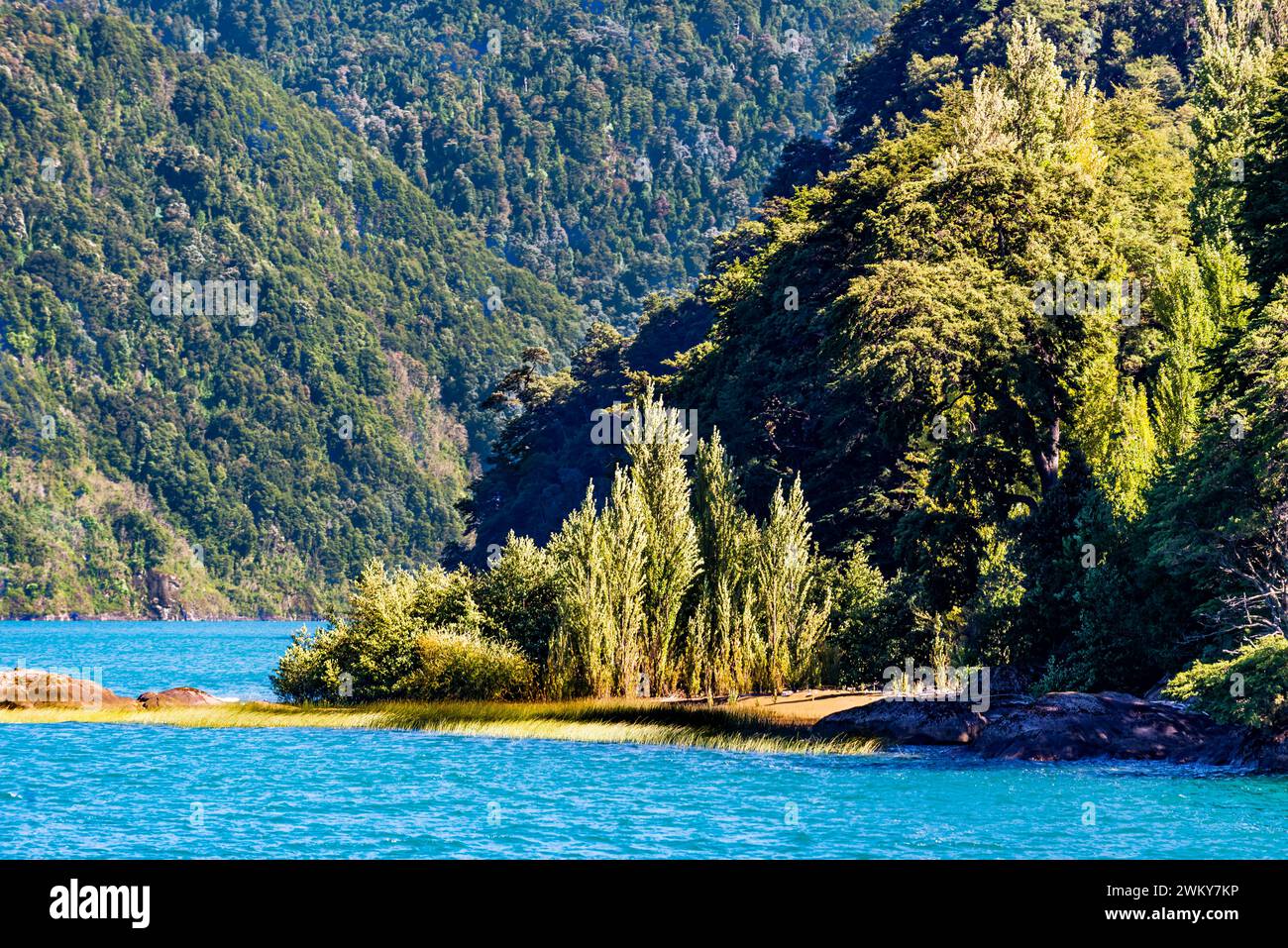 Navigating the Lake of Todos los Santos - Peulla- Chile - Andean ...