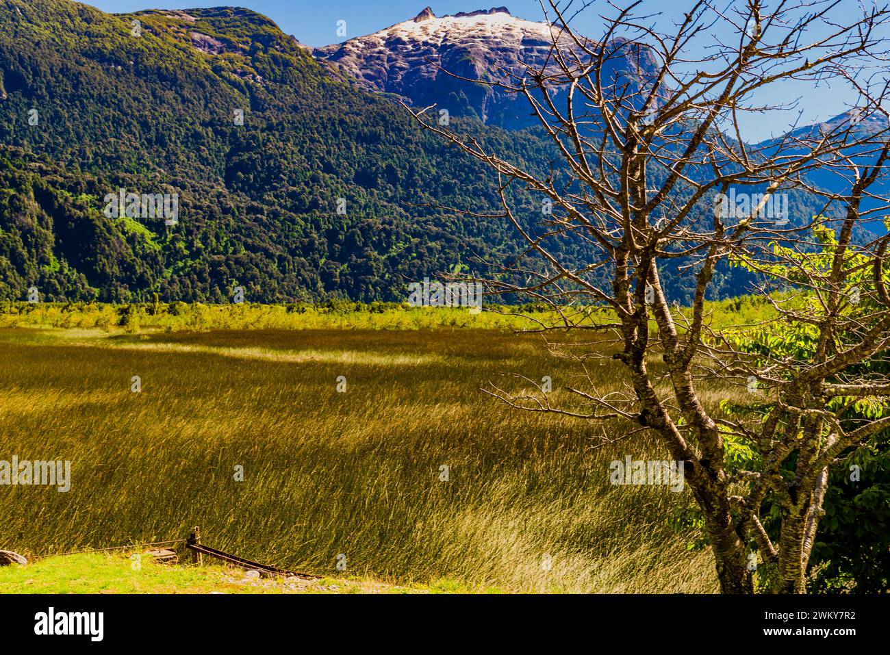 Navigating the Lake of Todos los Santos - Peulla- Chile - Andean ...
