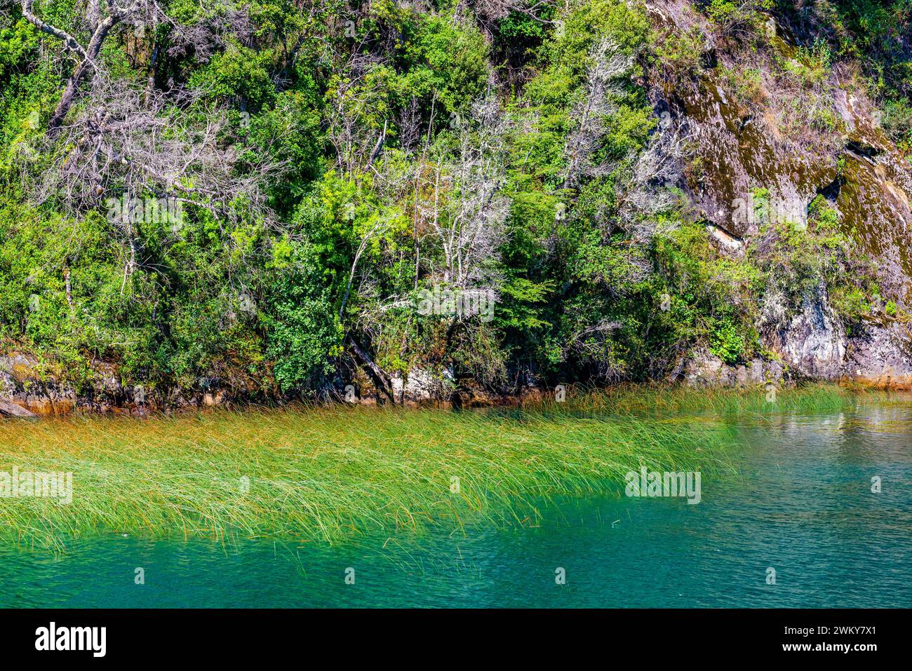 Navigating the Lake of Todos los Santos - Peulla- Chile - Andean ...
