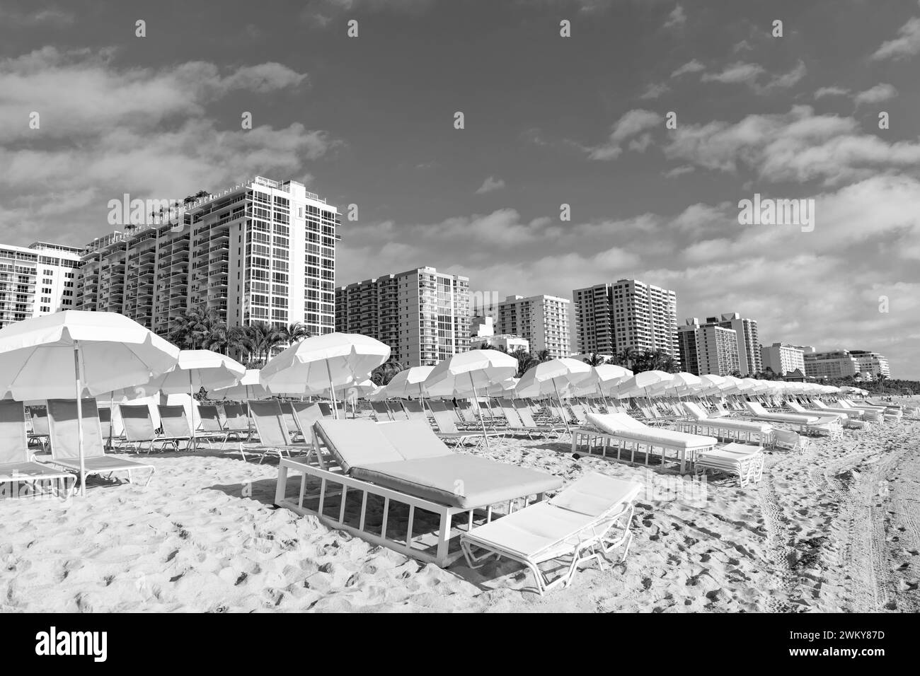 sunbed at summer beach vacation in miami. photo of sunbed at summer ...