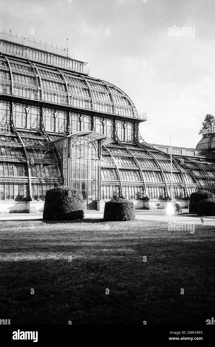 Palm House or Palmenhaus in the Schönbrunn palace gardens, Vienna ...