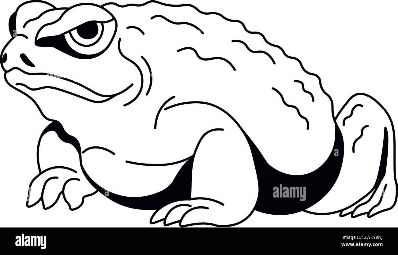 Stoic Frog Vector Design Stock Vector Image & Art - Alamy