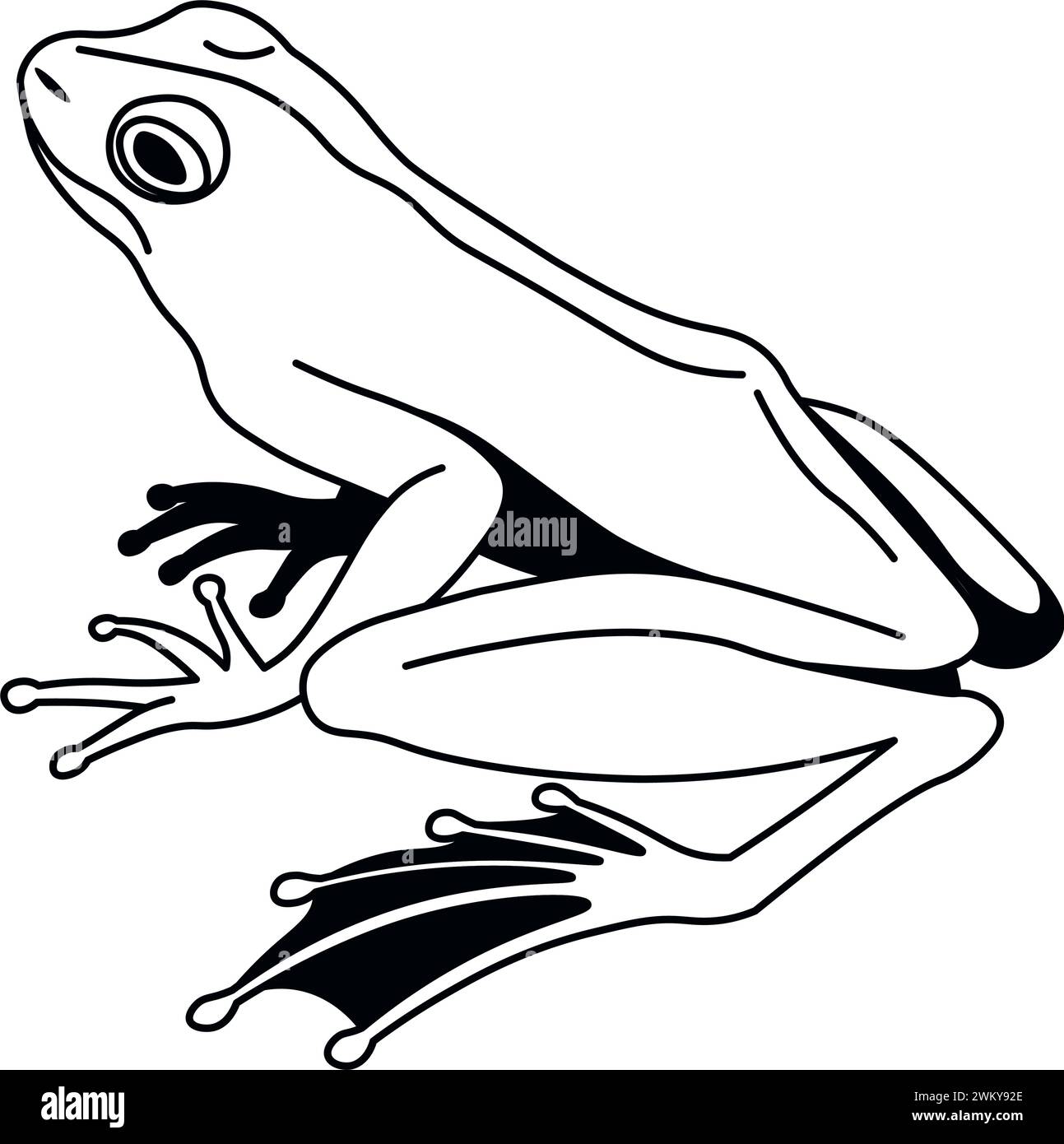 Contemplative Frog Vector Illustration Stock Vector Image Art Alamy