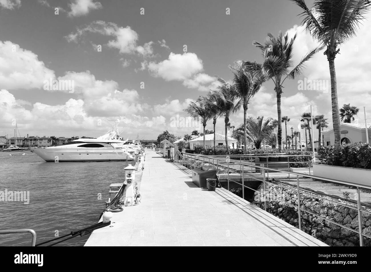 yacht harbour with pier dock and palm trees. summer yacht in harbour ...