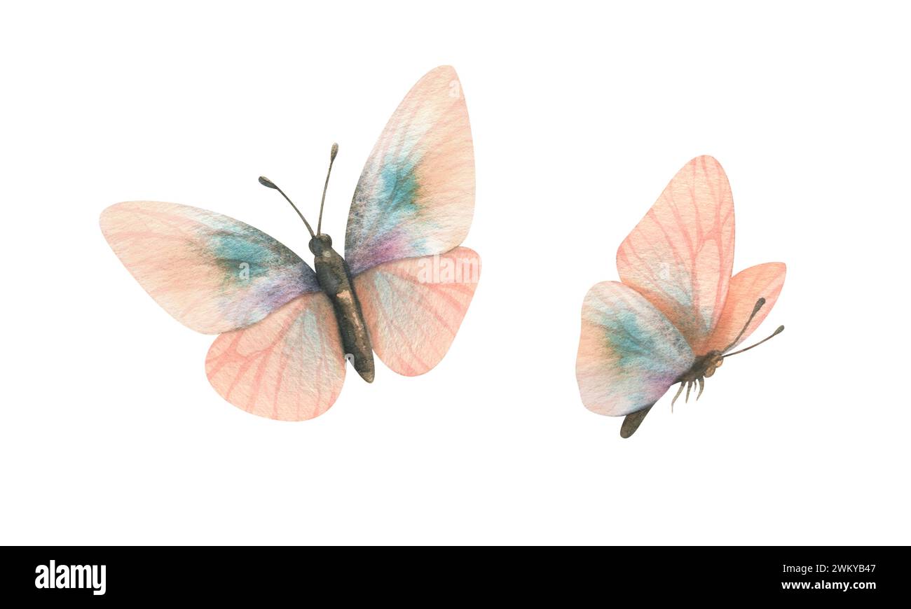 Delicate, light flying butterflies top and side view in peach fuzz ...