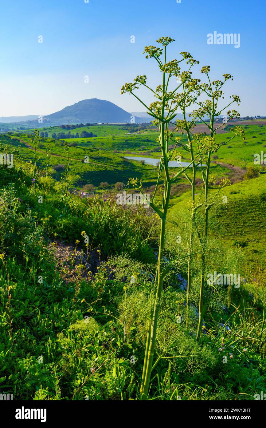 View of the Tabor Stream landscape, with Mount Tabor and winter ...