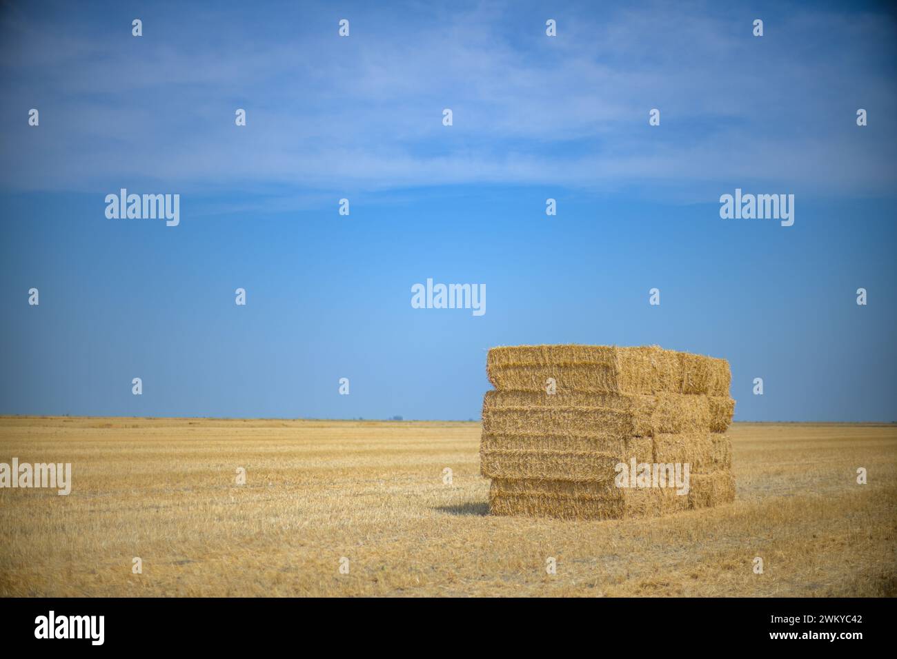 A stack of hay is placed on top of a dry grass field, creating a rustic ...