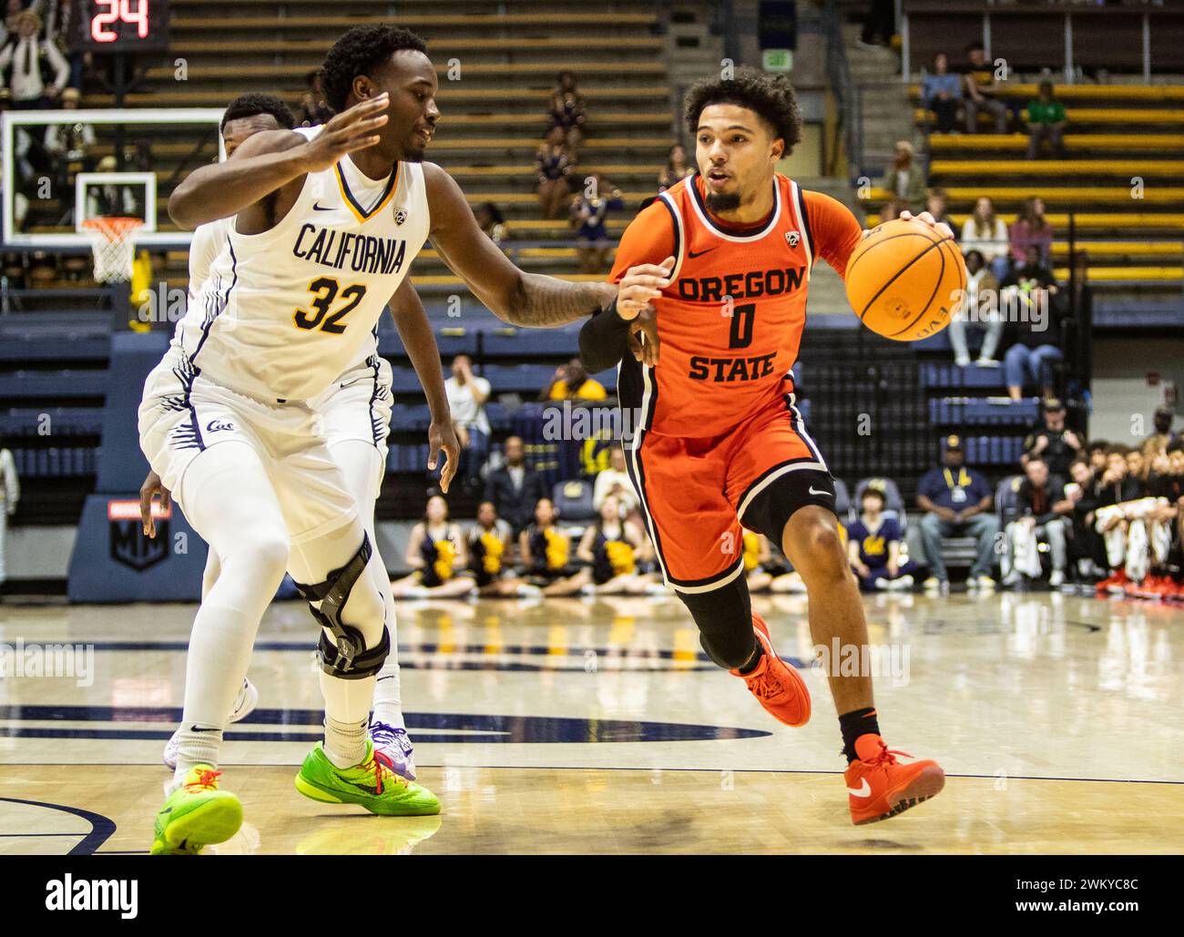 2024 0021 jpg hi-res stock photography and images - Alamy