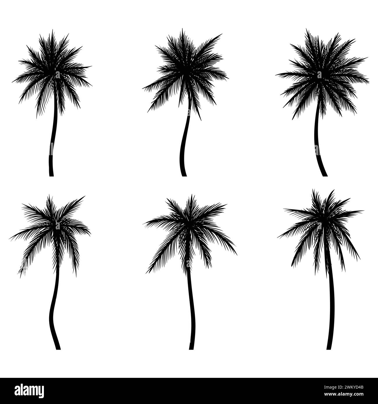 Coconut palm vector illustration graphic silhouette paradise nature ...