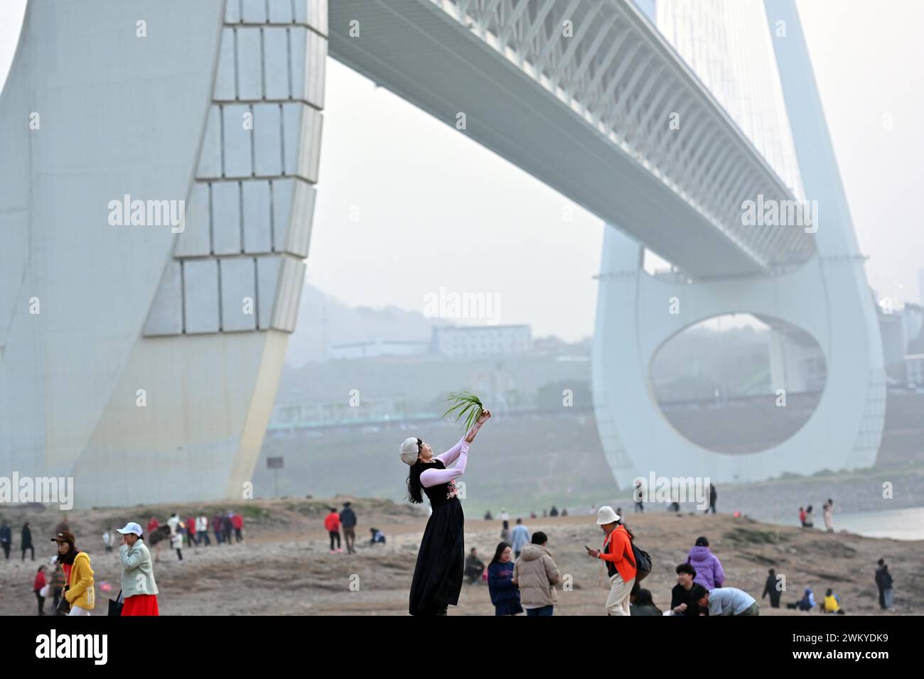 Magnificent scene of Baijusi Yangtze River Bridge in Chongqing, China ...