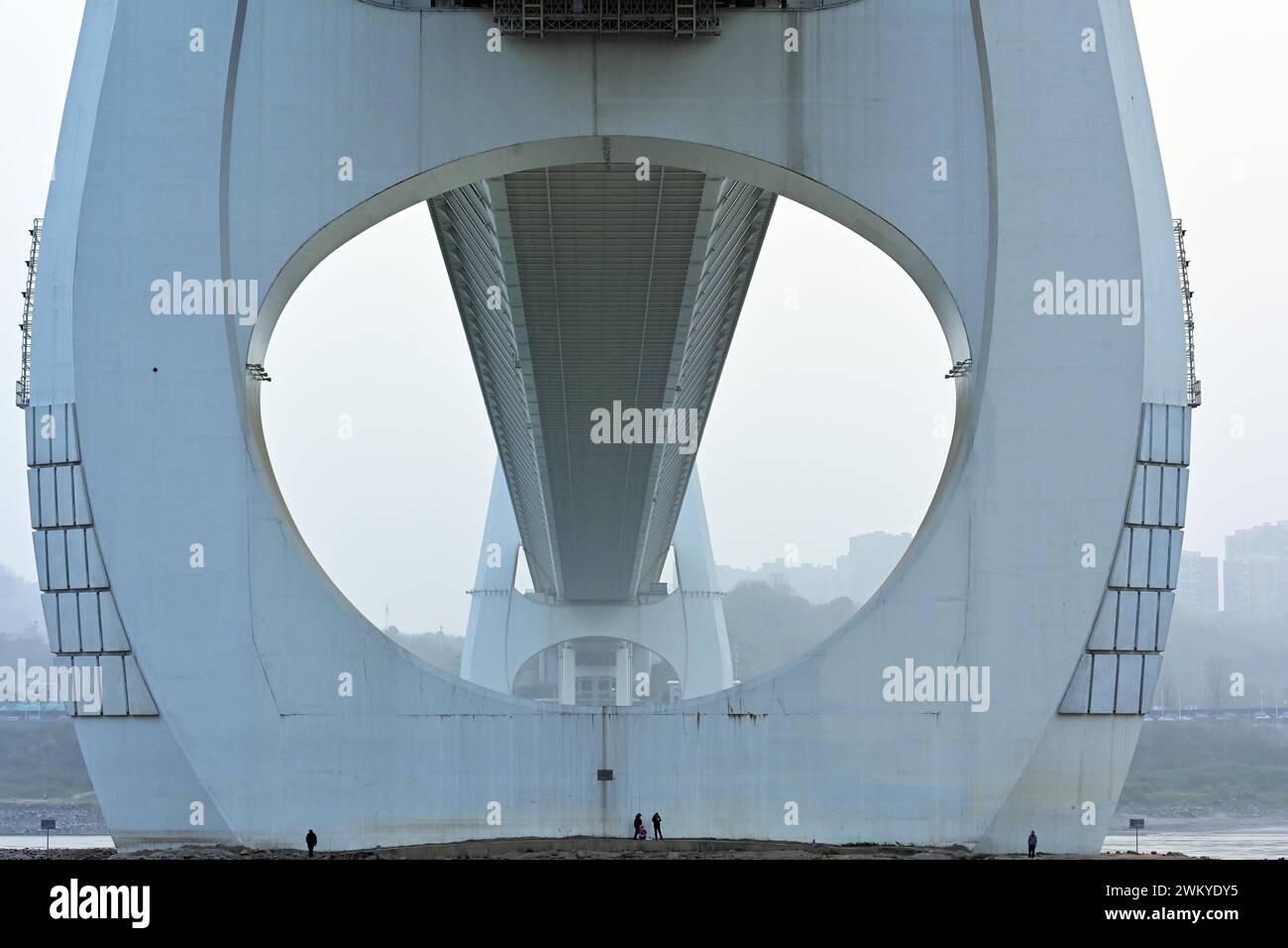 Magnificent scene of Baijusi Yangtze River Bridge in Chongqing, China ...