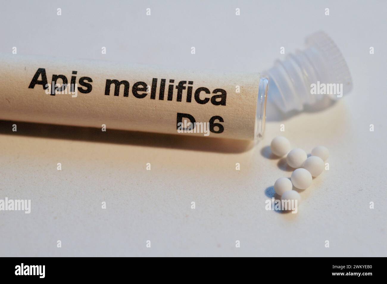 Bienengift hi-res stock photography and images - Alamy