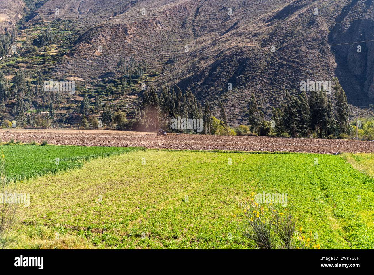 Peruvian farming inca hi-res stock photography and images - Alamy