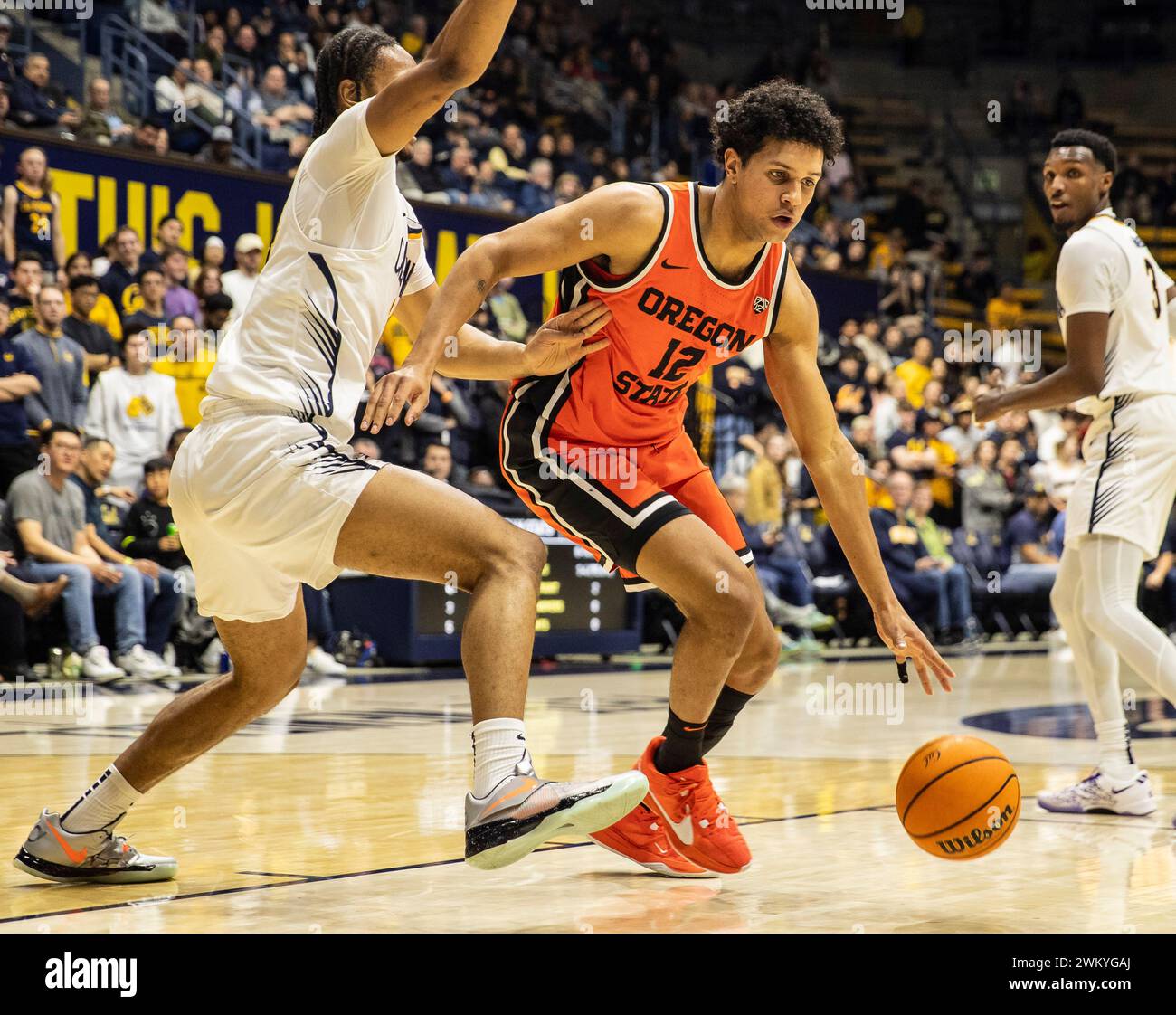 2024 0175 jpg hi-res stock photography and images - Alamy