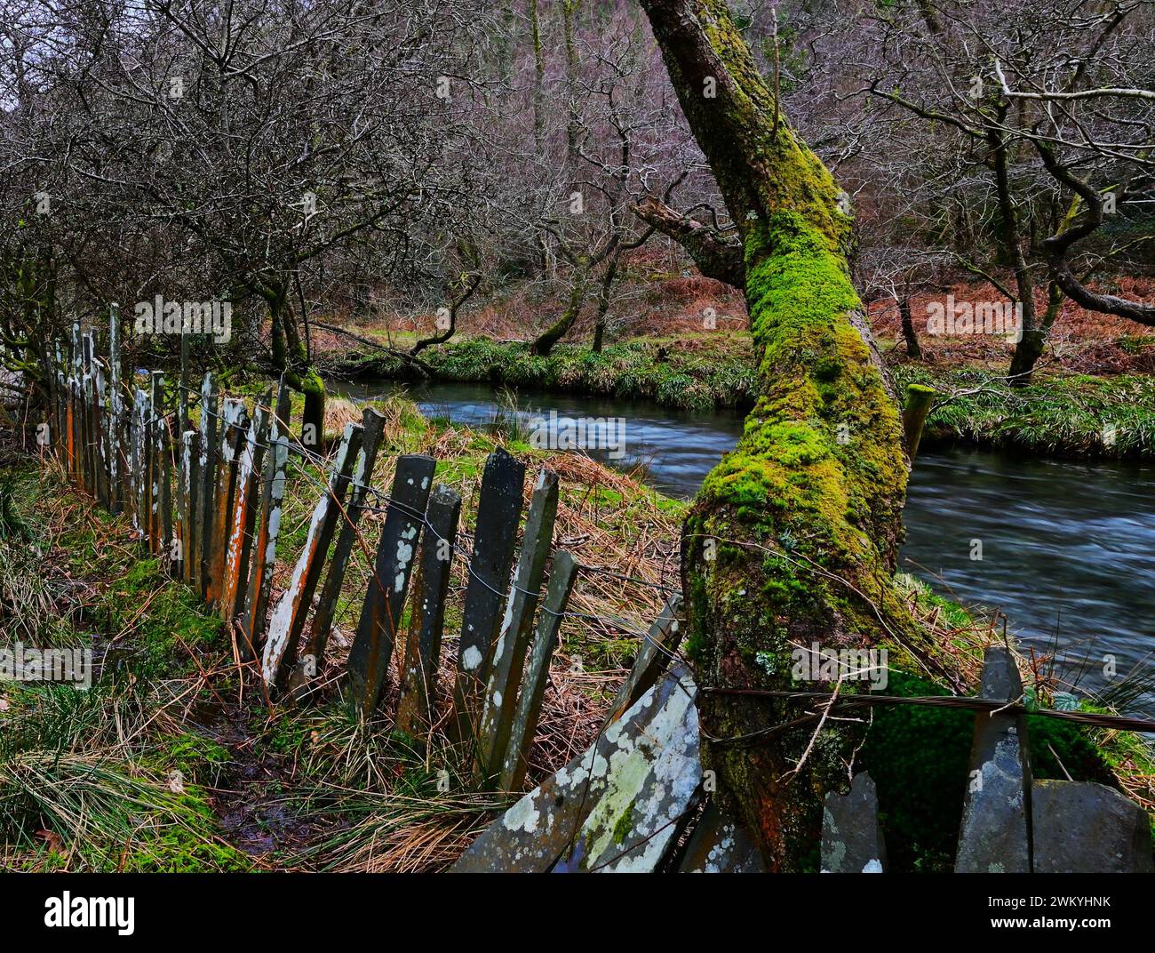 Afon Dulas flowing through valley, Gwynedd Wales Stock Photo - Alamy