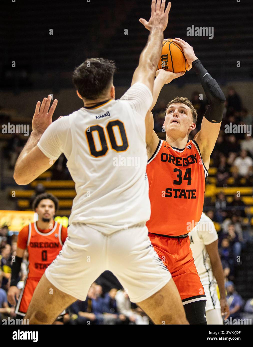 Haas Pavilion Berkeley Calif, USA. 22nd Feb, 2024. CA U.S.A. Oregon ...