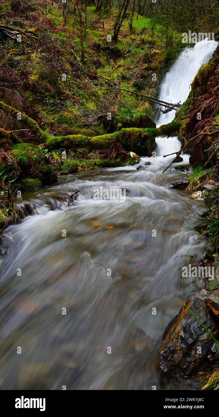 Ground level ecoculture hi-res stock photography and images - Alamy