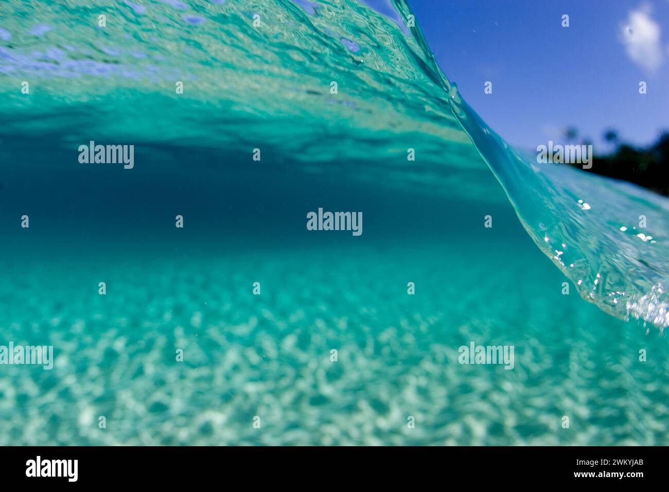 split level wave at Waimea Bay Stock Photo - Alamy