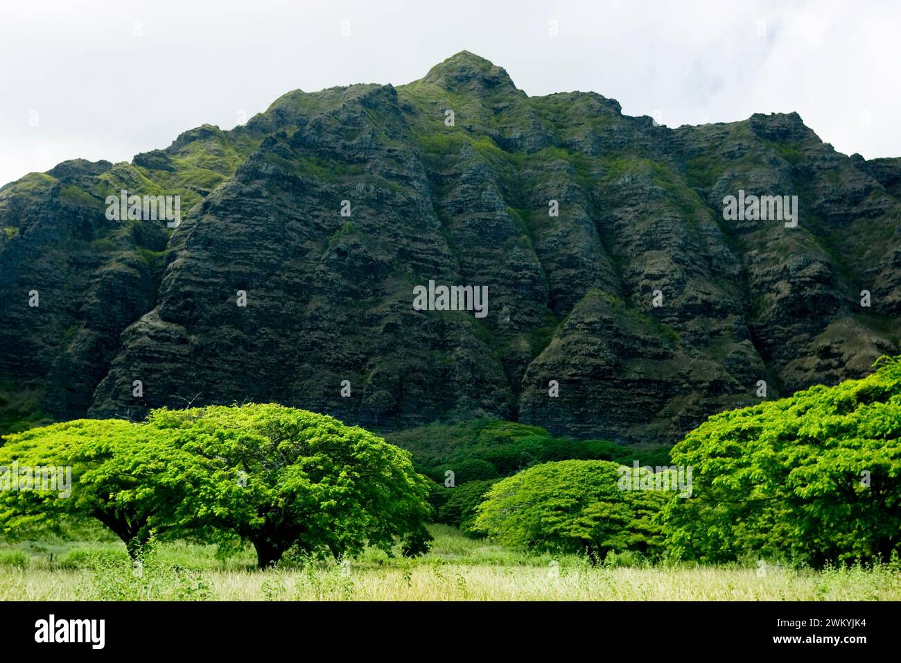 Ko'olau mountain range at Kaava. on the east side of Oahu, Hawaii Stock ...