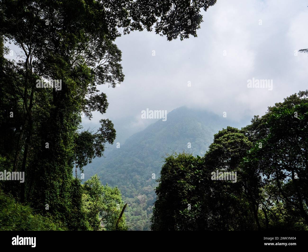 Rwenzori mountains hi-res stock photography and images - Alamy