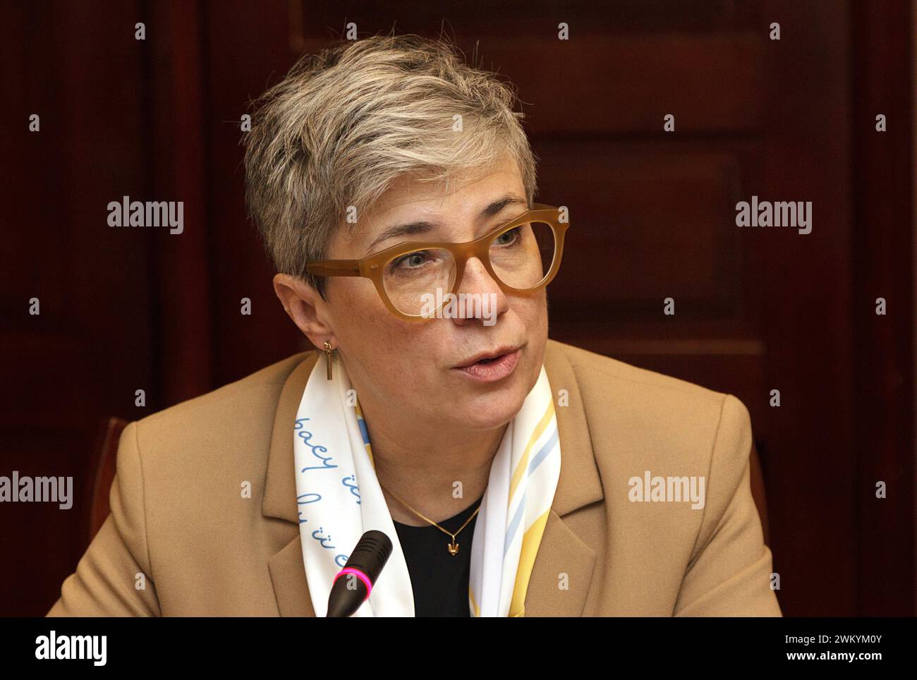 Non Exclusive: KYIV, UKRAINE - FEBRUARY 21, 2024 - Ambassador ...