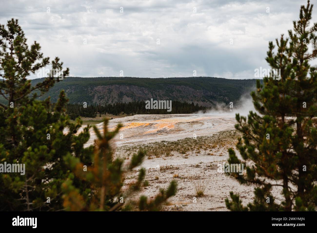 Yellowstone geothermal activity hi-res stock photography and images - Alamy
