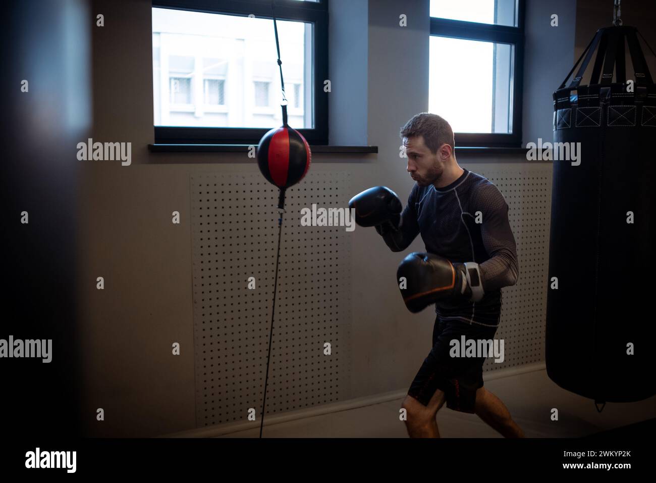 Concentrated young adult bearded boxer honing skills on double-end ...