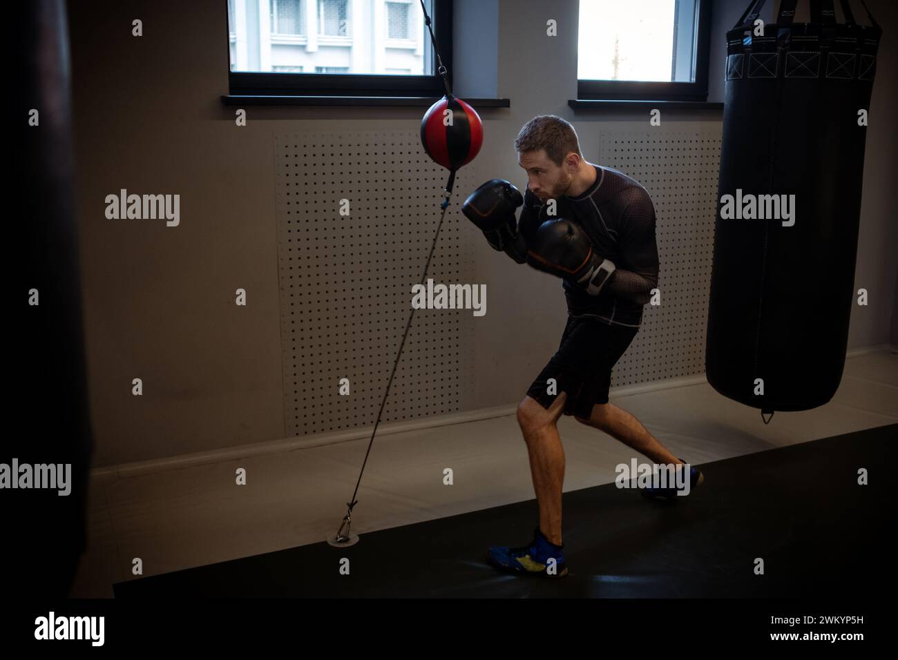 Determined concentrated boxer practicing coordination and punch control ...