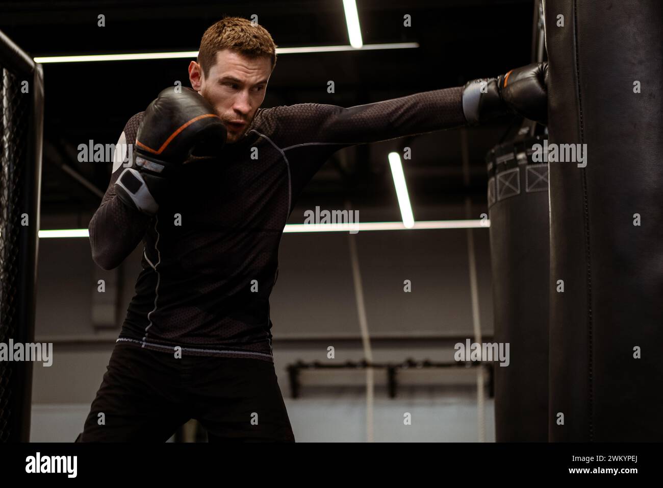 Motivated young adult mixed martial artist sharpening accuracy and ...