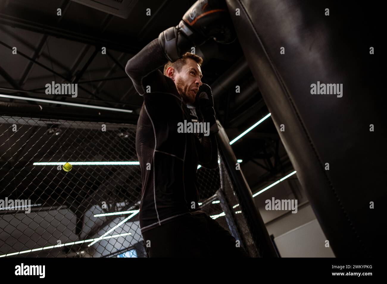 Expressive boxer training with determination on heavy bag, delivering ...