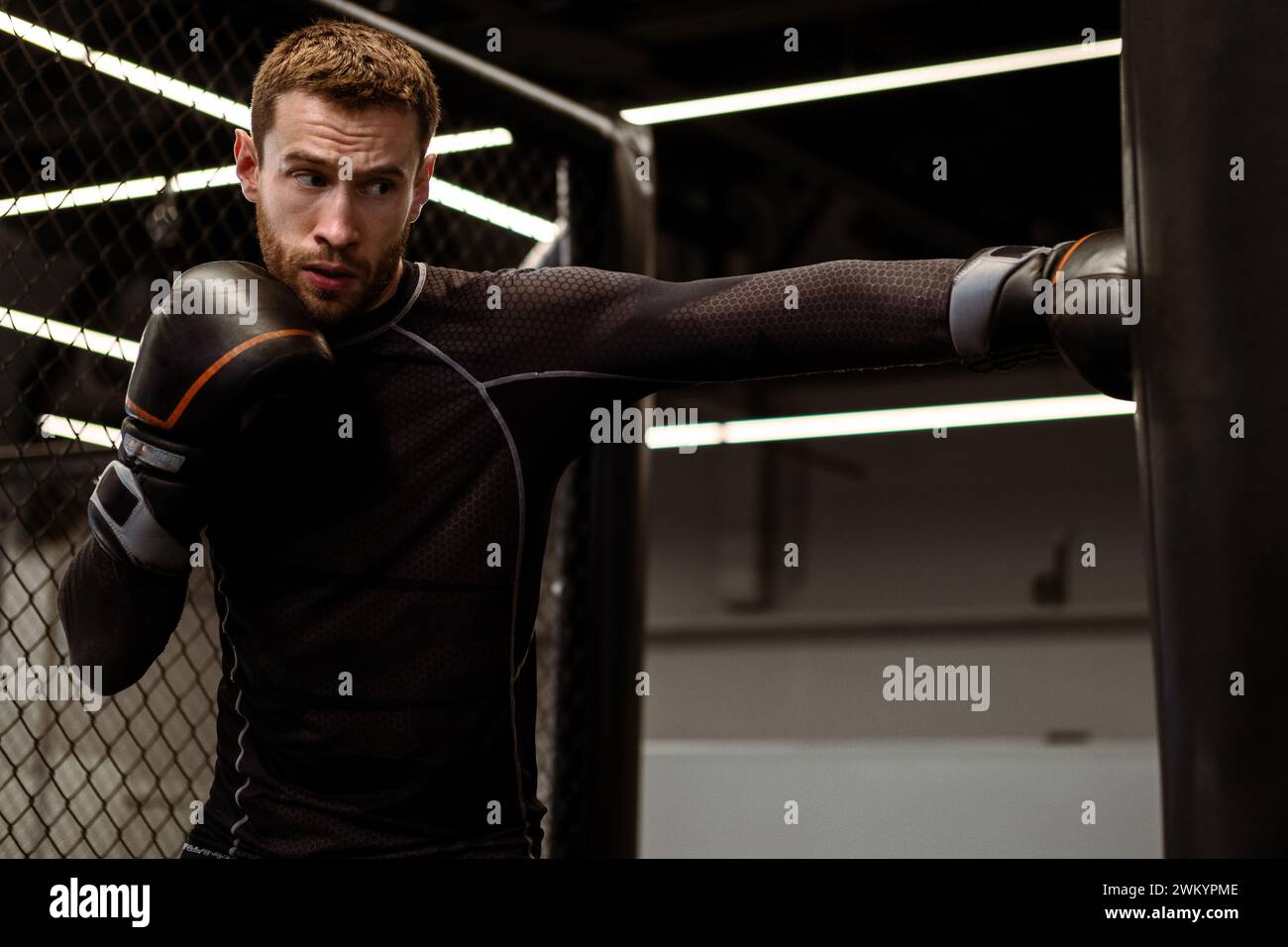 Concentrated young adult bearded boxer honing punching skills on heavy ...