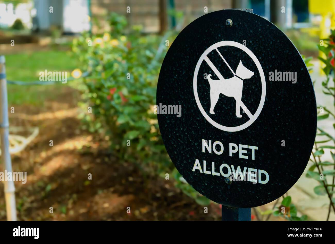 Sign in a public park warning that dogs are not permitted Stock Photo ...