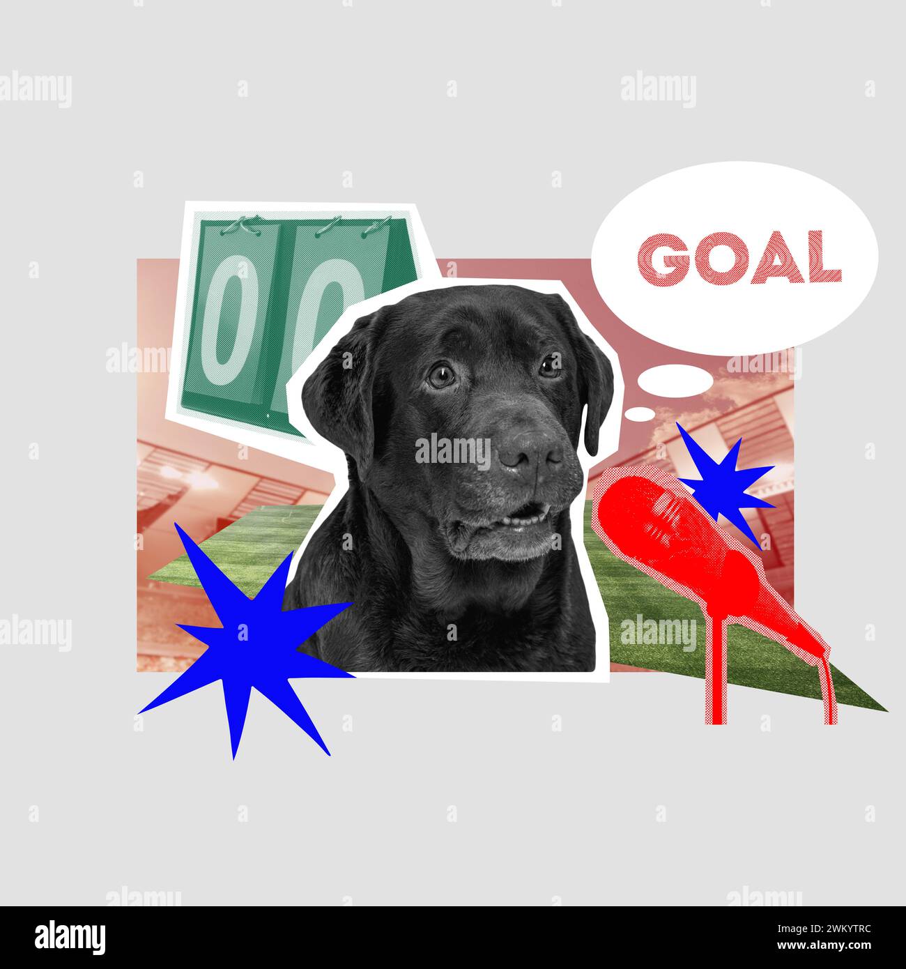 Emotional purebred dog, black Labrador, soccer game commentator with ...