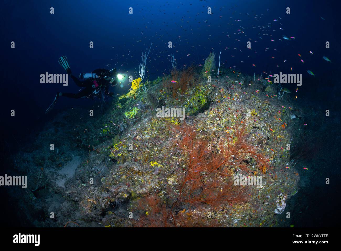 Diving in the twilight zone at a depth of almost 100 meters, Rebreather ...