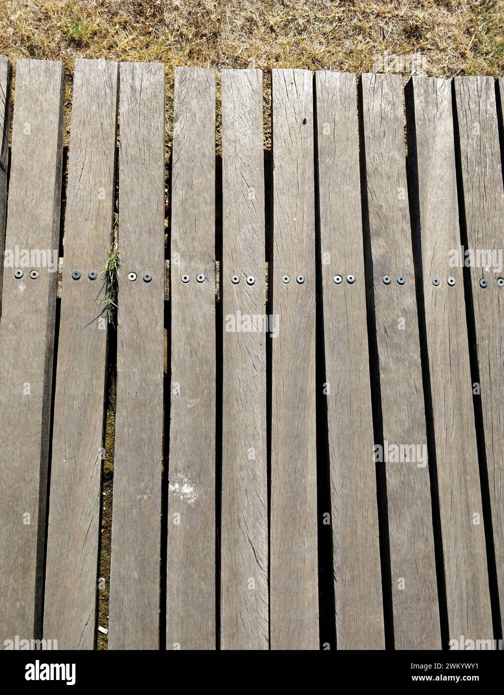 A detailed shot of a hardwood plank walkway with exposed nails ...